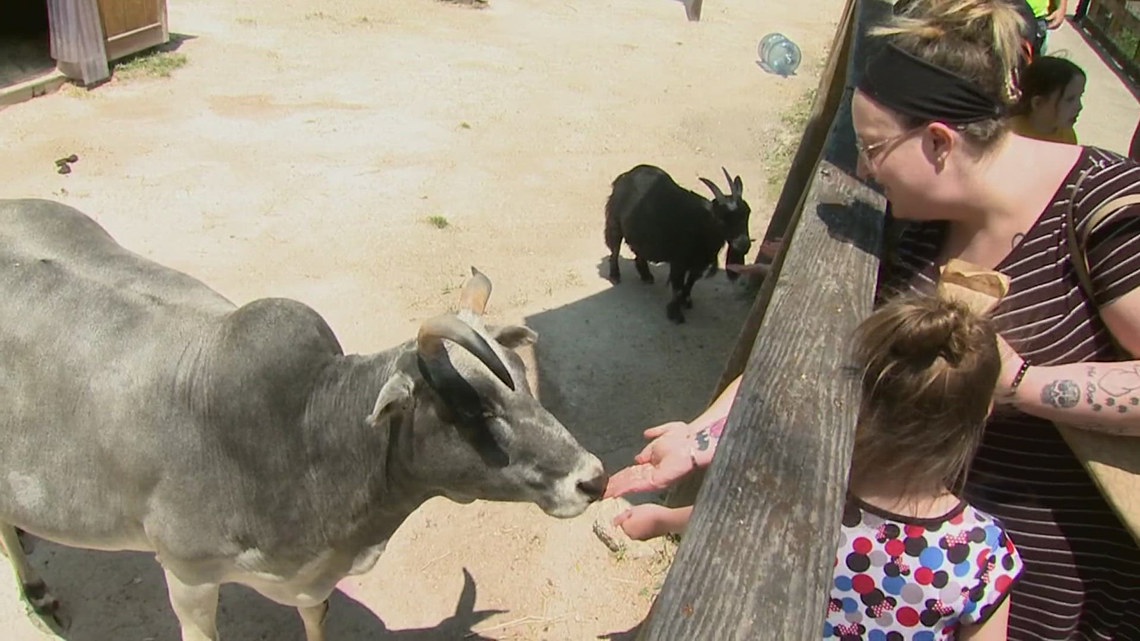 Niabi Zoo joins nationwide pilot program to reduce wildlife trafficking | wqad.com