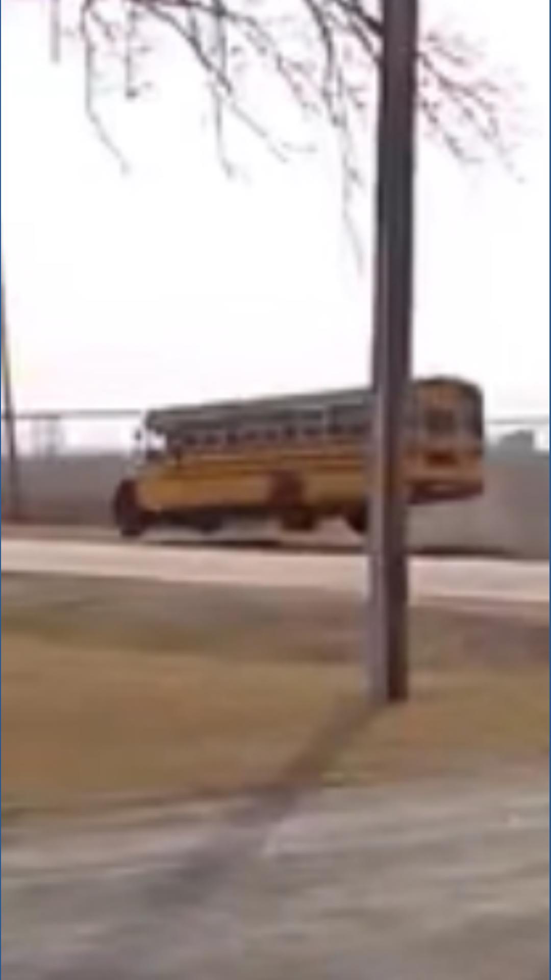 School bus accident in Whiteside County sends several students to ...