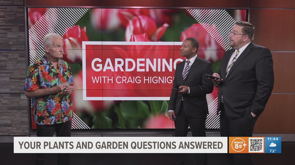 Plants and Gardens with Craig Hignight - Part 1 | Aug. 27, 2025 | wqad.com