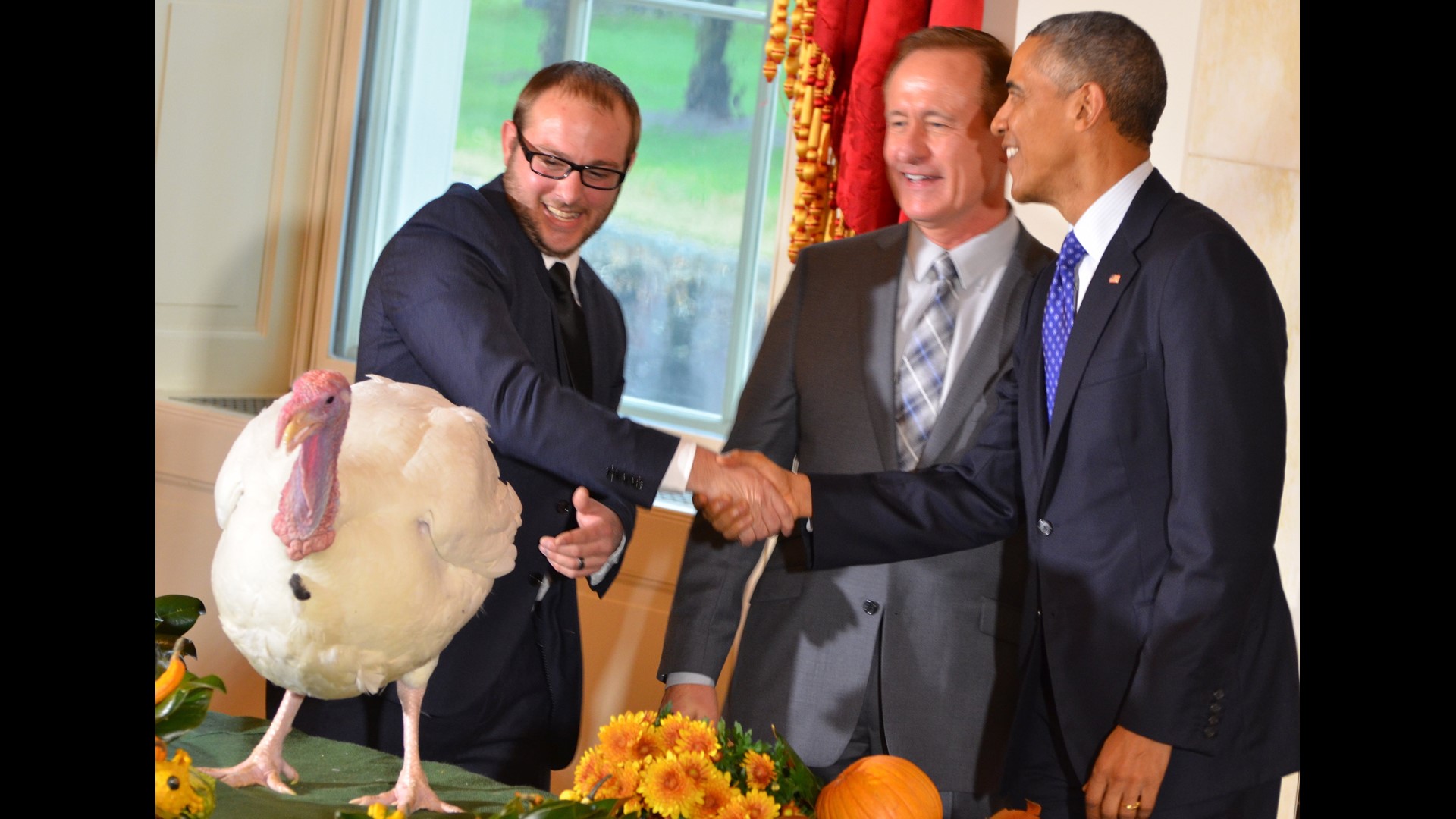 Obama ‘puzzled’ by annual turkey pardon | wqad.com
