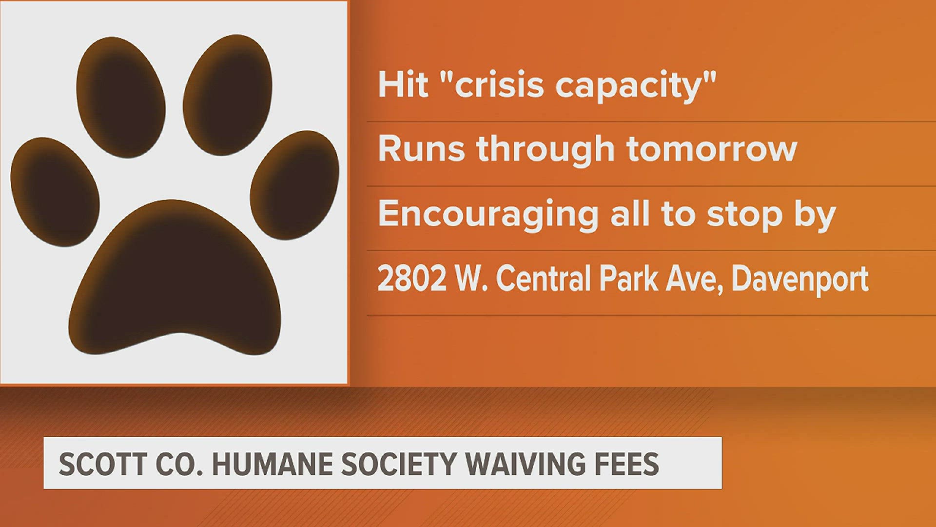 Scott County Humane Society waiving adoption fees to unite pets with ...
