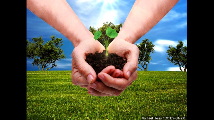 Faith leaders start “Plant 1000 trees QC” campaign with symbolic ...