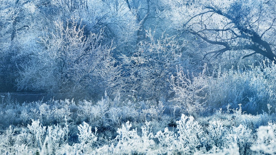 Freeze warnings impact more than just plants | wqad.com