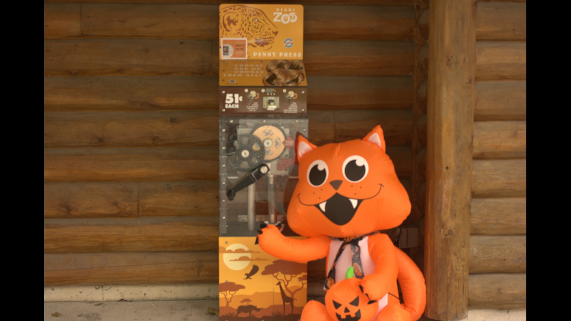 Photo Gallery: Boo at the Zoo 2021 | wqad.com