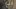City of Eldridge releases statement on negotiations regarding future of ...