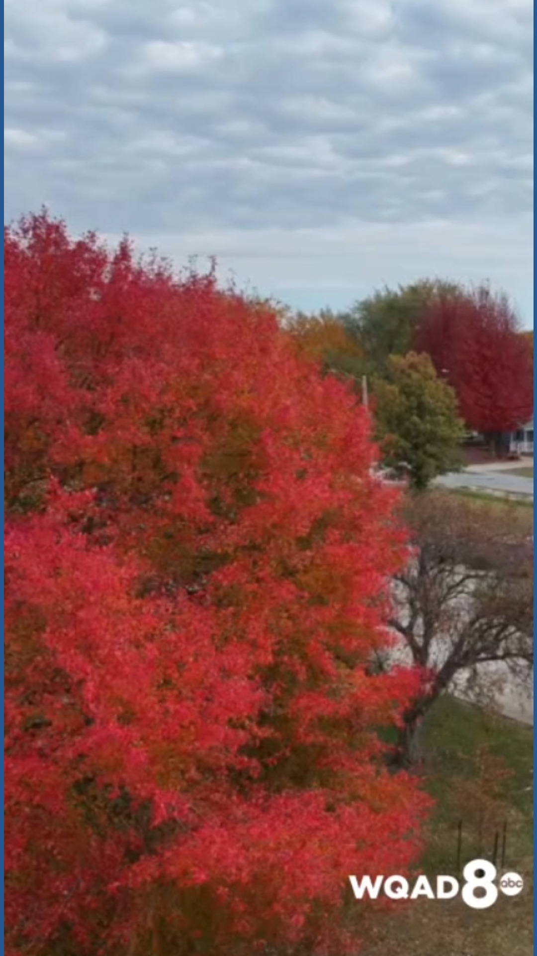 Fall colors above Aledo, Illinois | wqad.com
