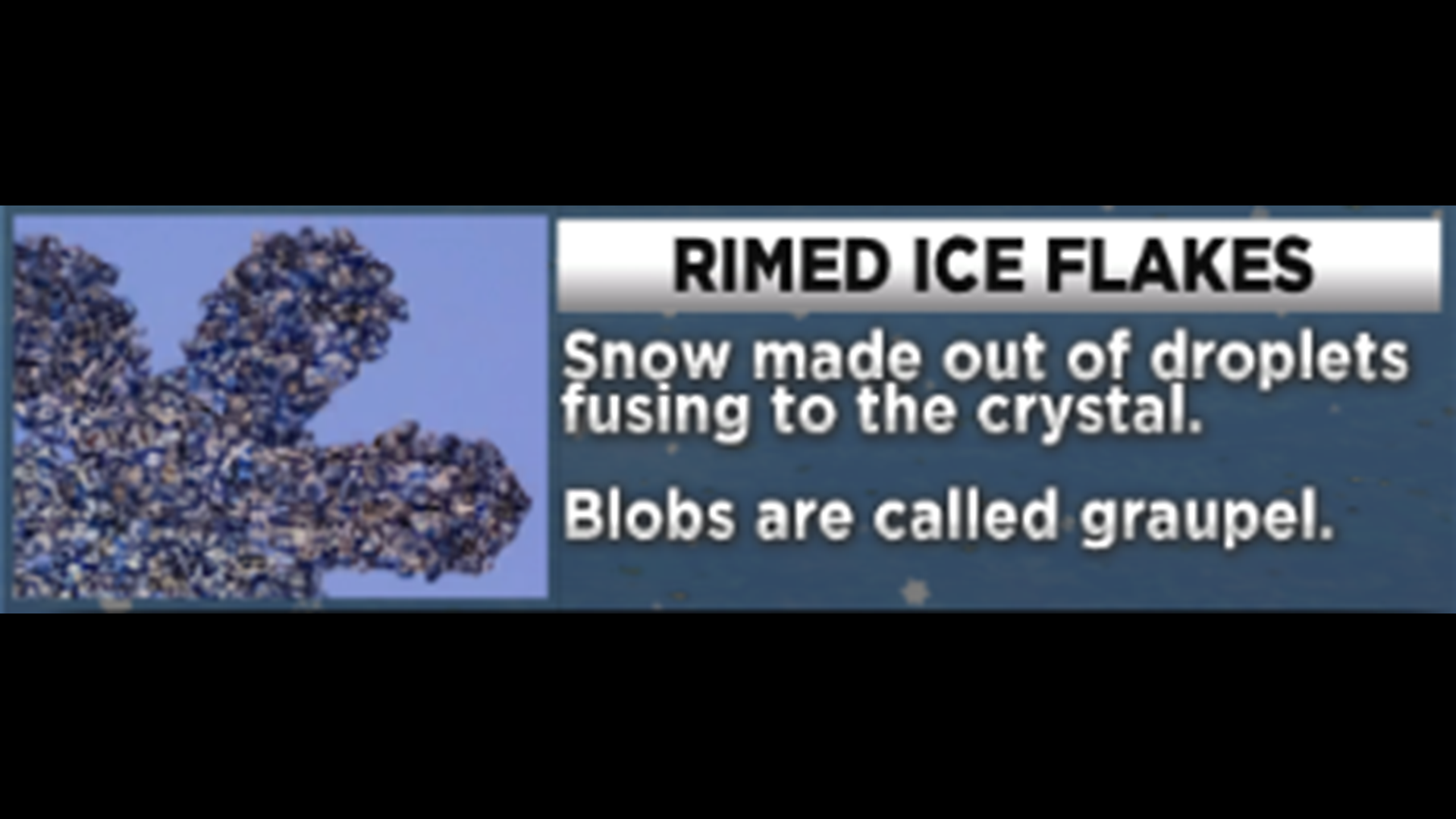 The Eric Factor: It’s true, no snowflakes are alike but not all have ...