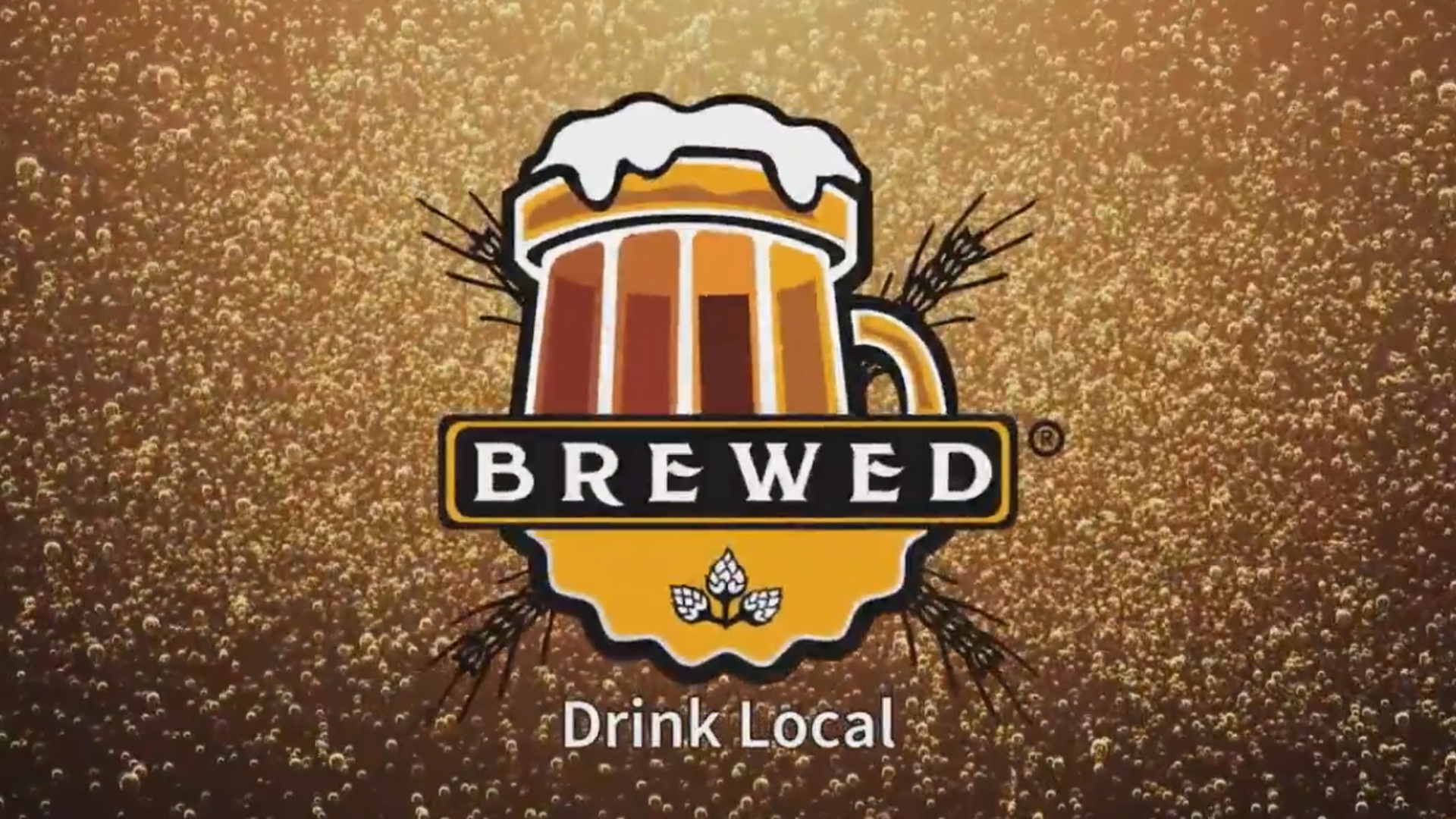 Brewed: Best Moments of Season 10 | wqad.com
