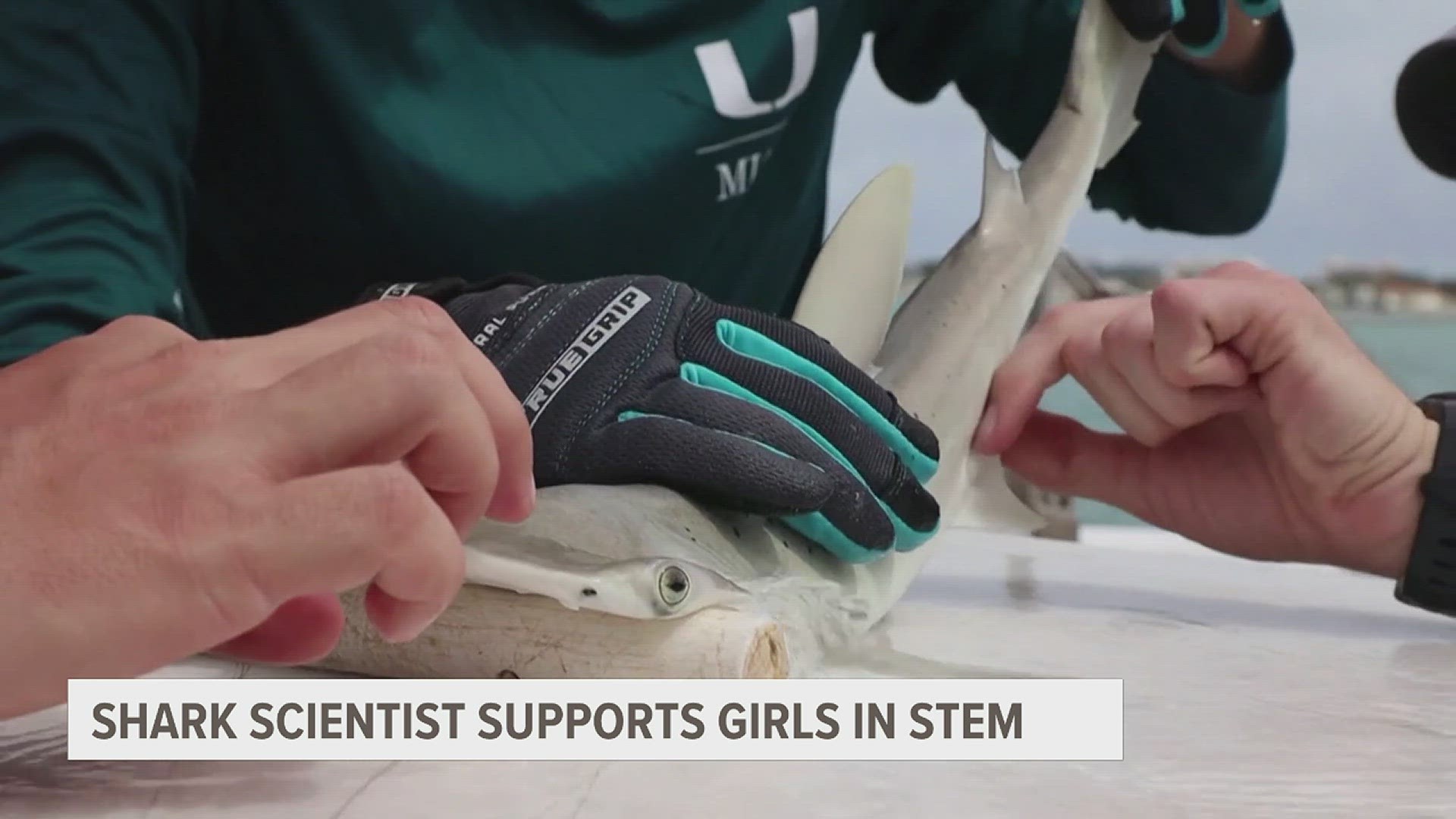 Shark scientist supports girls in STEM | wqad.com