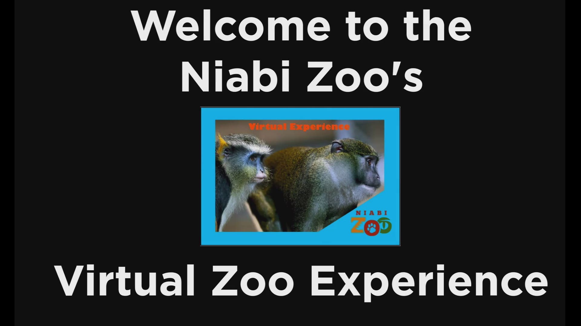 Go behind the scenes at Niabi Zoo through a 'Virtual Experience' tour | wqad.com