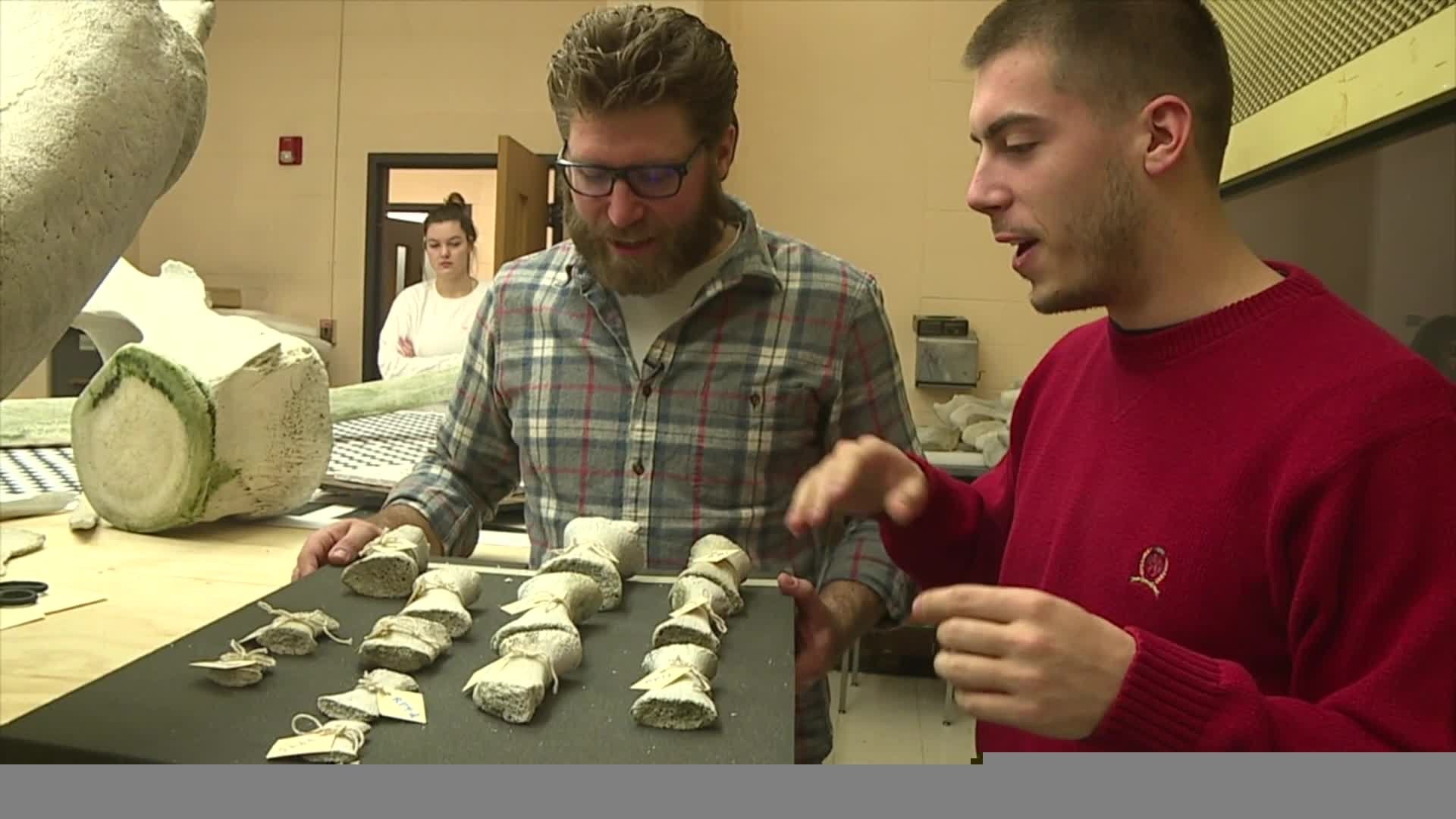 OSHA investigating explosions at ADM plants in Iowa and Illinois | wqad.com