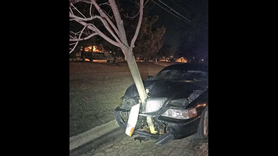 Police video shows Illinois woman driving with tree stuck in her car ...