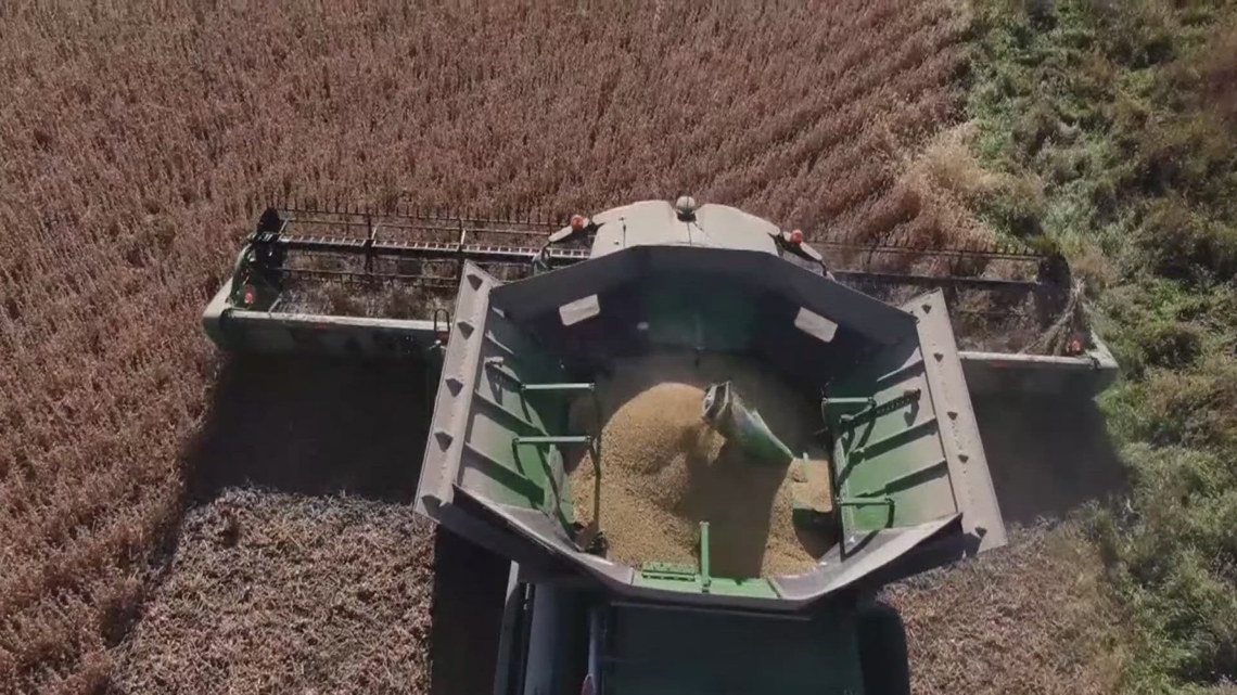 Steven Olson wins 'Jeopardy!' during his debut episode | wqad.com