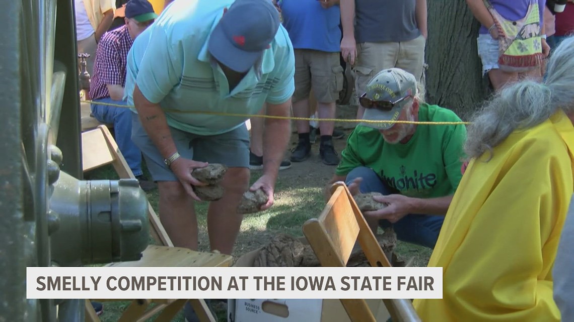 Iowa State Fair-goers get their hands dirty in the annual cow poop ...