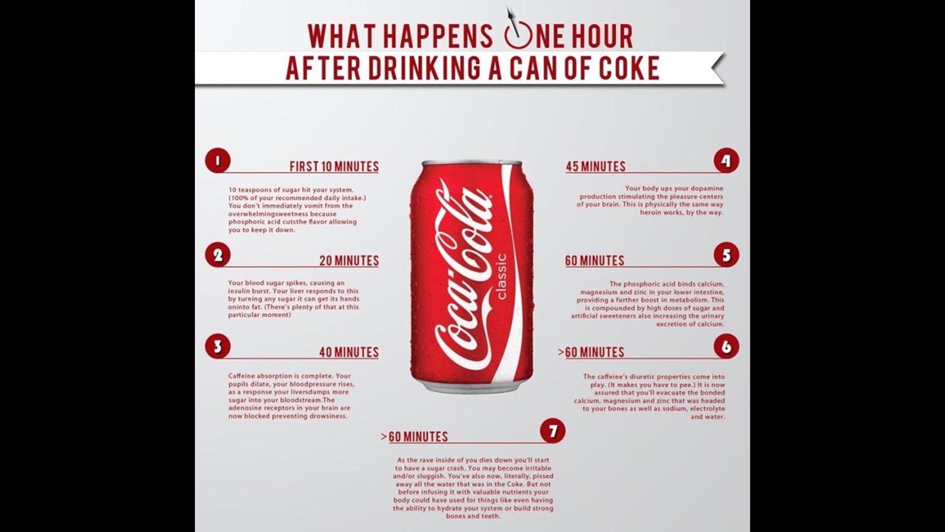 Infographic claims to show what happens in first hour after you drink ...