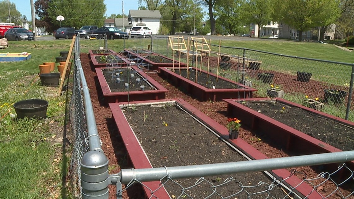 Quad Cities college students helping curb hunger | wqad.com