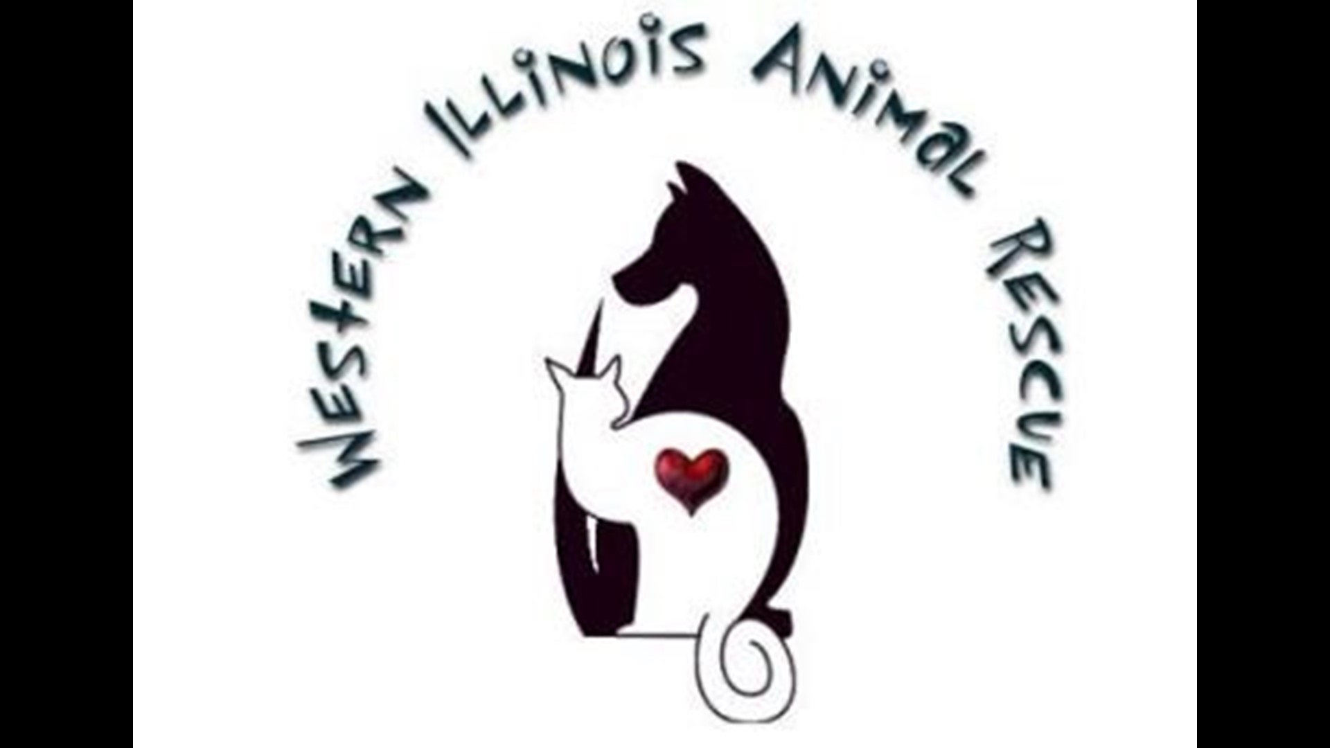 WIAR Animal Rescue hosting “Happy Howloween 5k Run/walk” this October ...