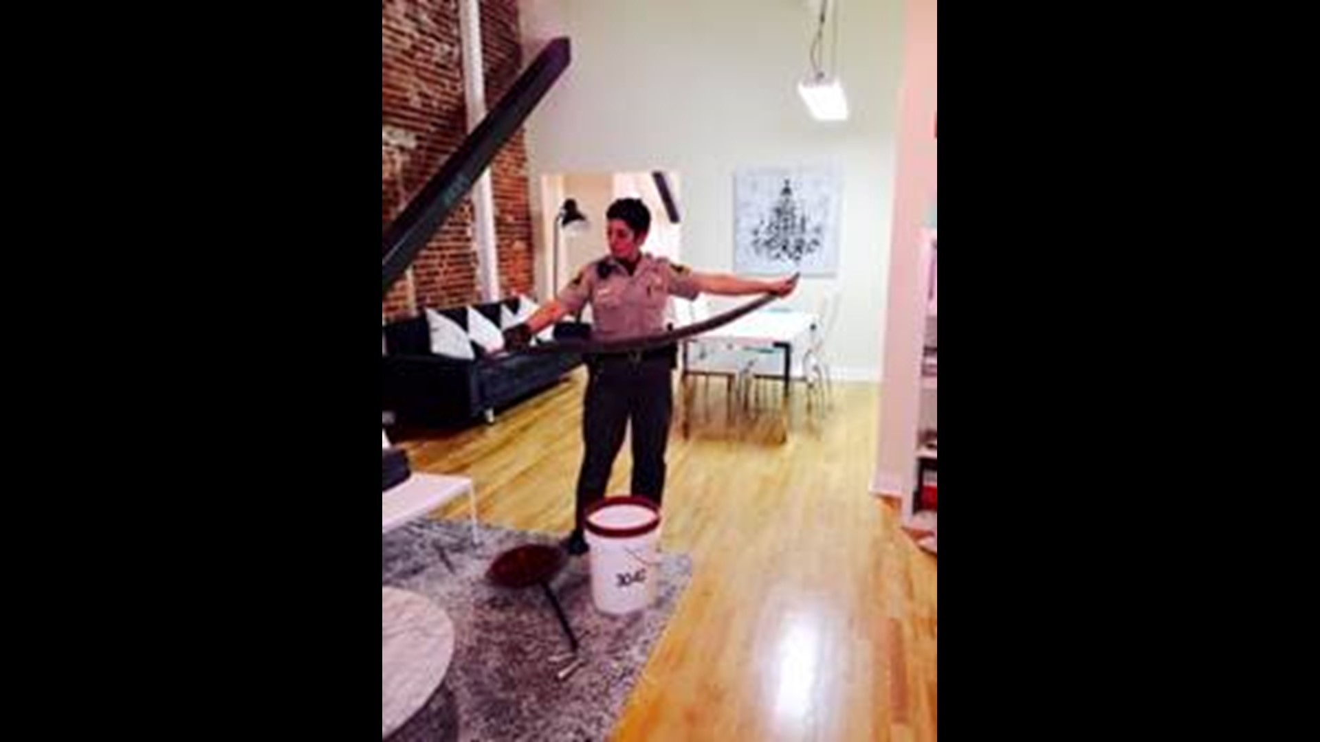 Women find massive snake in their office toilet | wqad.com