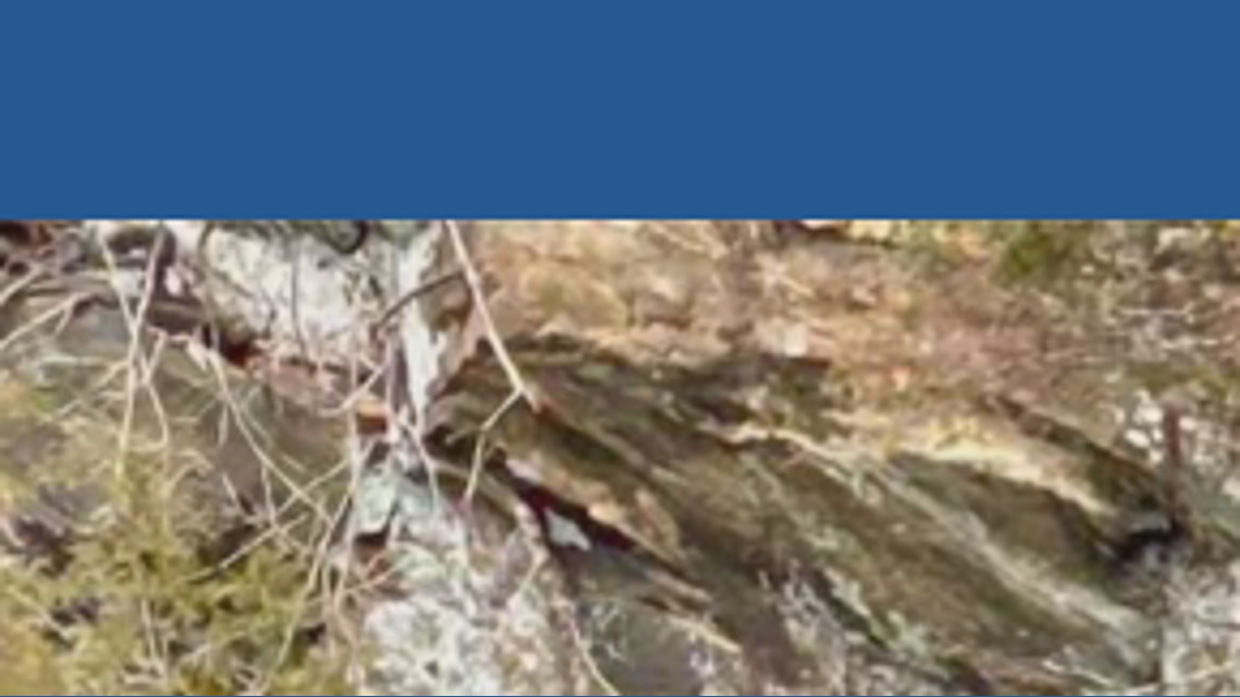 Virginia firefighters rescue stranded dog | wqad.com