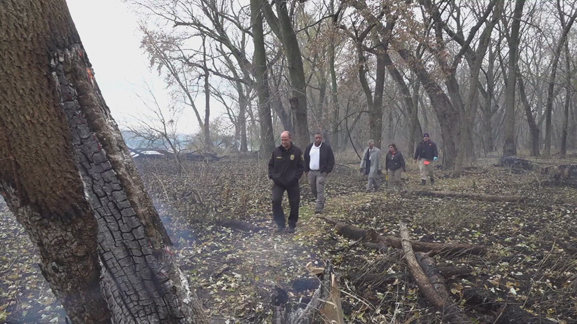 Fire intentionally set in Moline wetlands, officials say | wqad.com