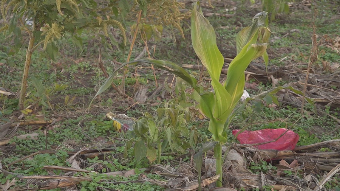 Lockdown lifted at East Moline Correctional Center | wqad.com