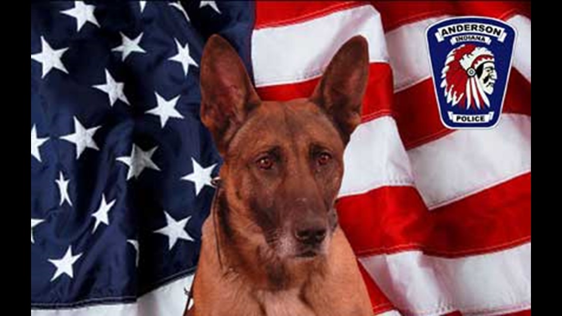 Officers fired shot that killed police K-9 in Pendleton shootout | wthr.com