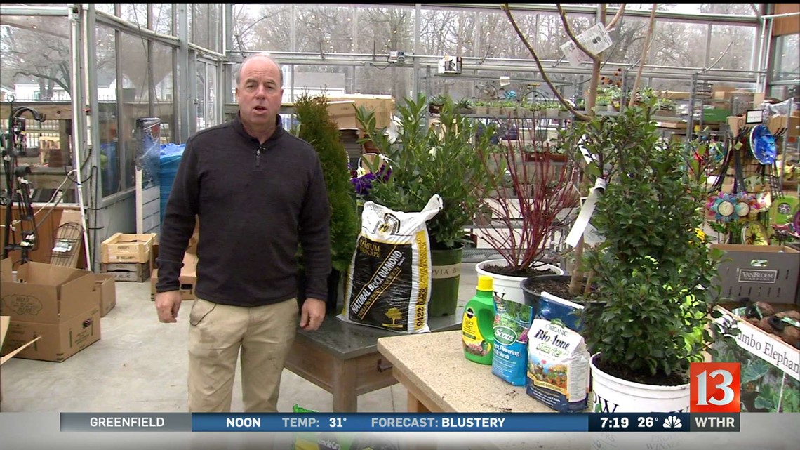 Watch Pat Sullivan With The Scoop On Trees And Shrubs Wthr