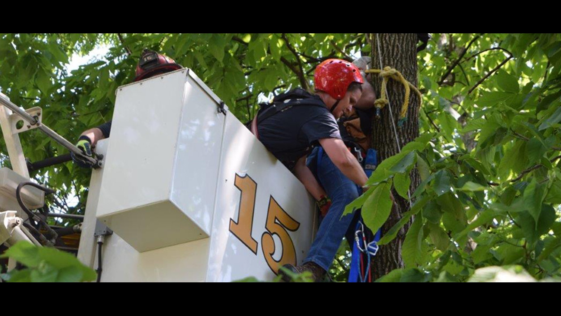 Injured man stuck in tree for nearly 90 minutes | wthr.com