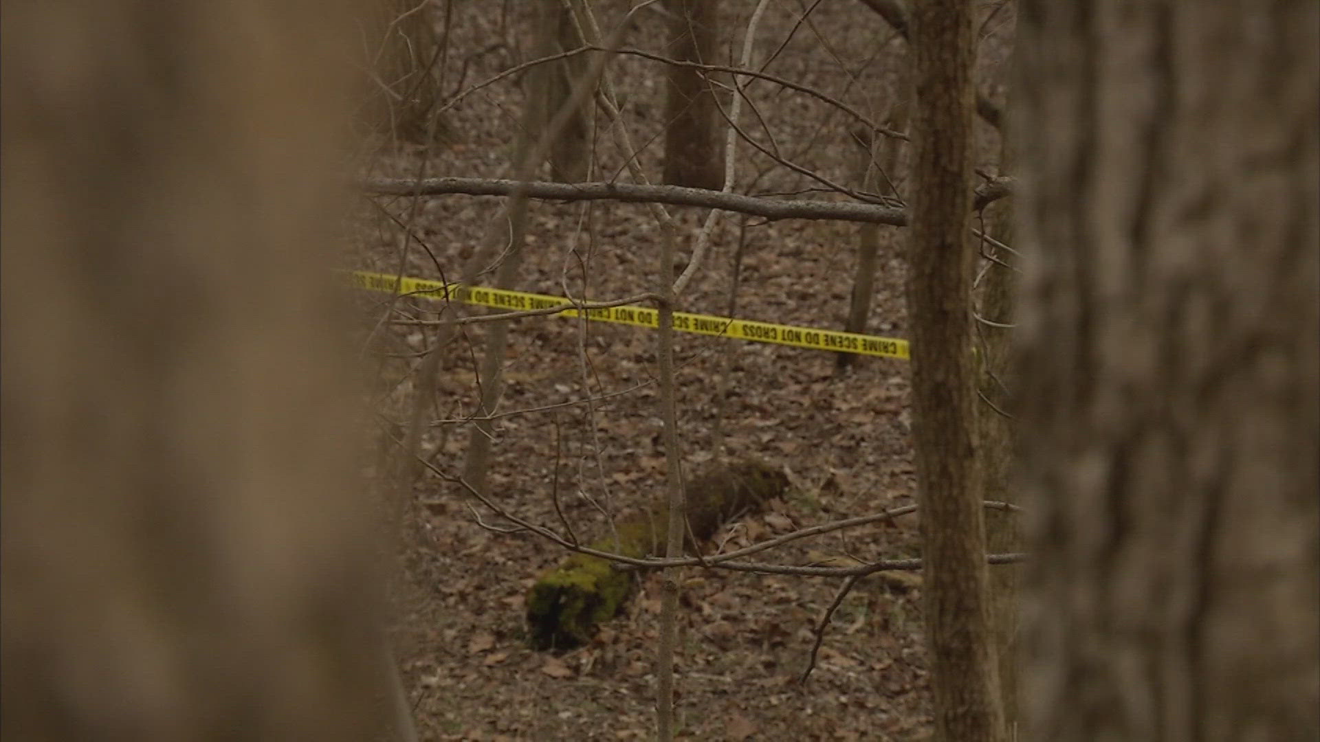 Richard Allen's attorneys cite alleged errors and ask to overturn conviction | wthr.com