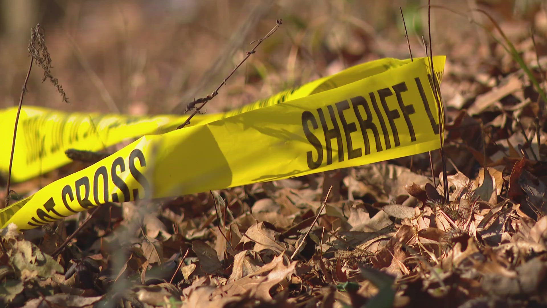 K-9 officer injured, alleged suspect injured after officer-involved shooting in Morgan County ...