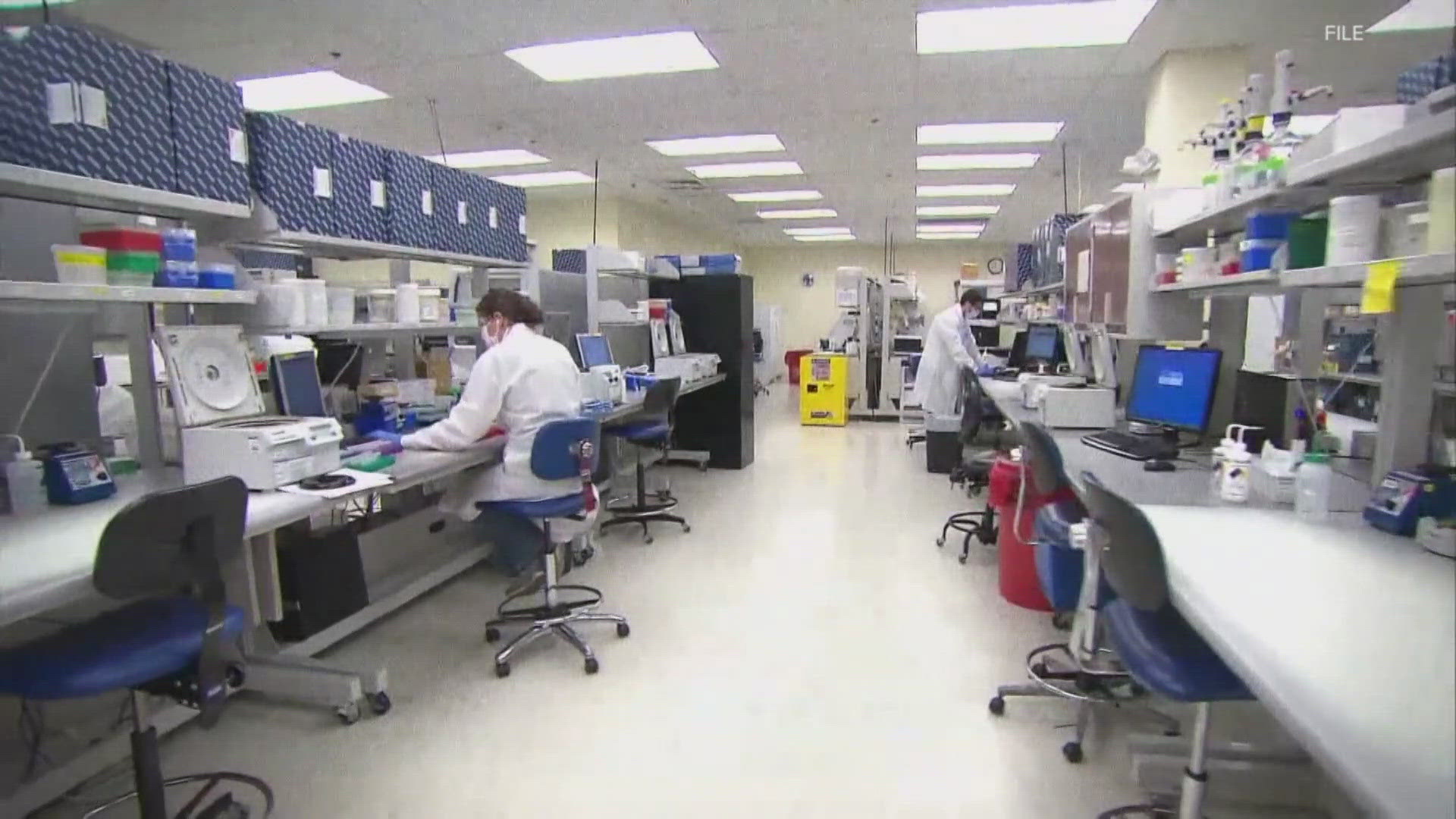 Remains of Indianapolis woman missing since 1999 identified | wthr.com