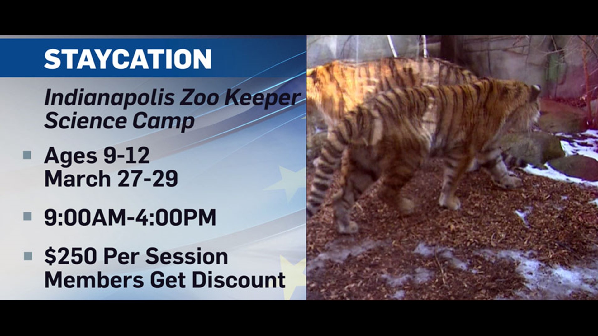 Spring break ideas on Sunrise: Zoo Camp | wthr.com