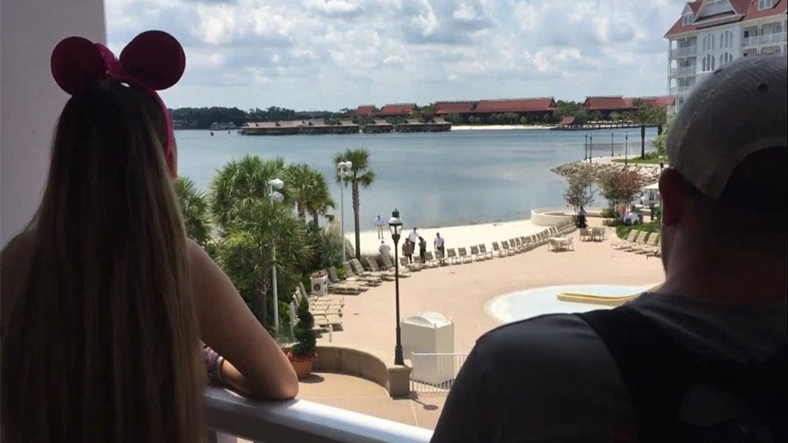 Disney to add alligator warning signs to beaches | wthr.com