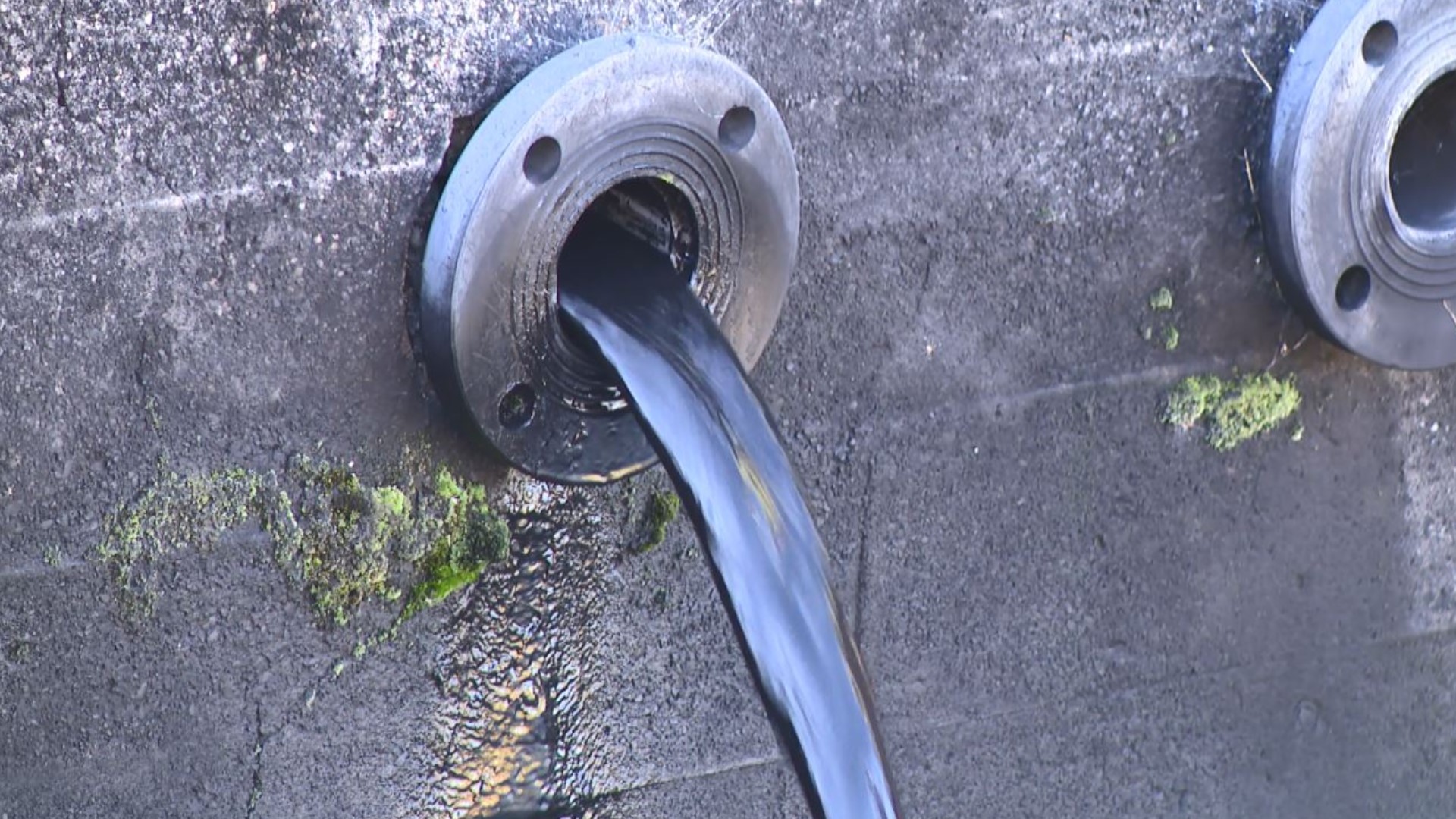 What is that black sludge pouring into the water near Fall Creek ...