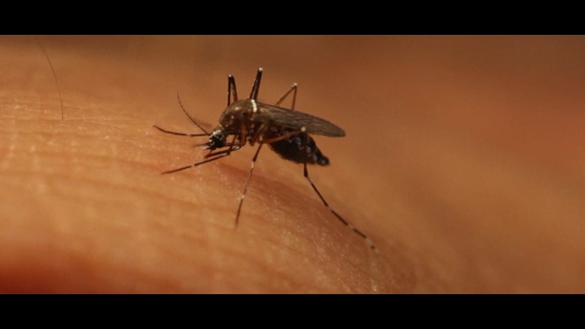 Southern Indiana mosquitoes test positive for West Nile virus | wthr.com