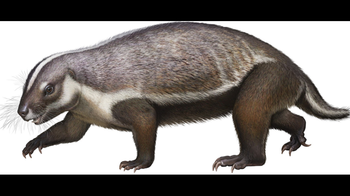 'Crazy beast' that lived 66 million years ago discovered in Madagascar ...