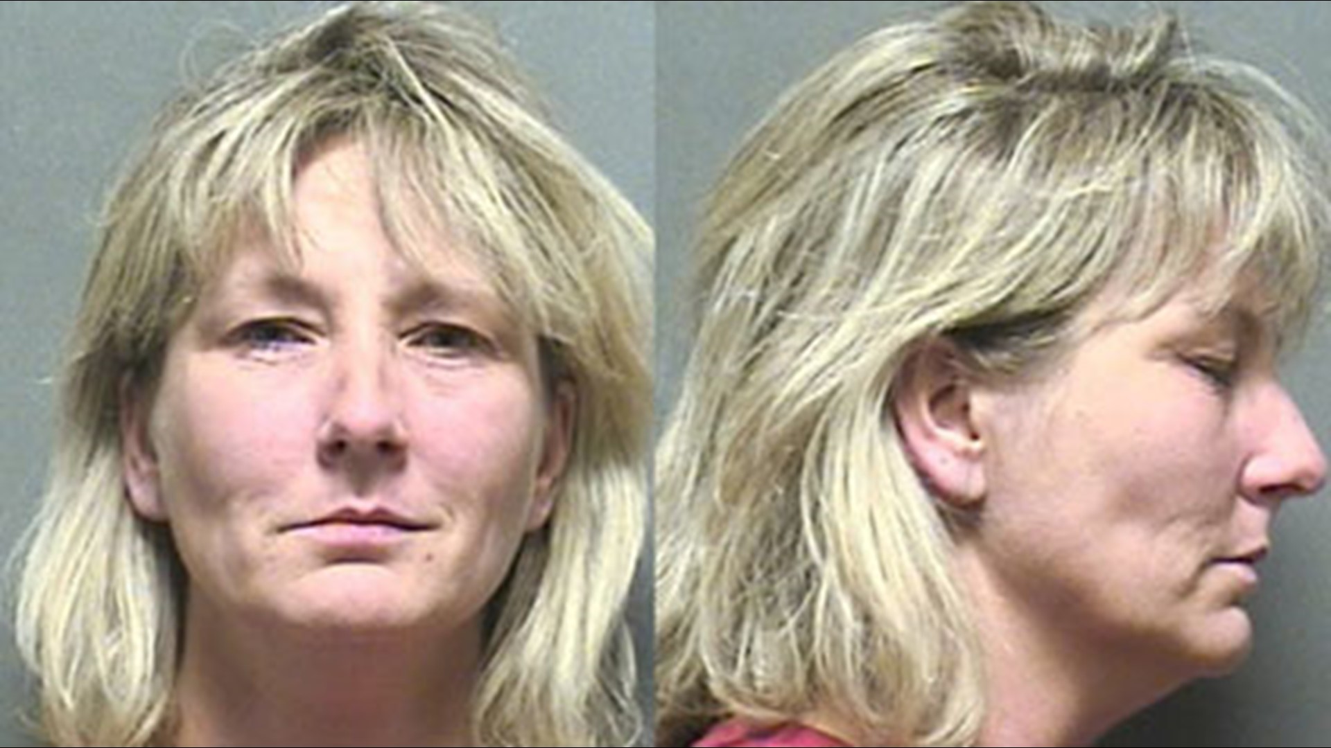 Hancock County coroner can't seek re-election after DWI plea | wthr.com