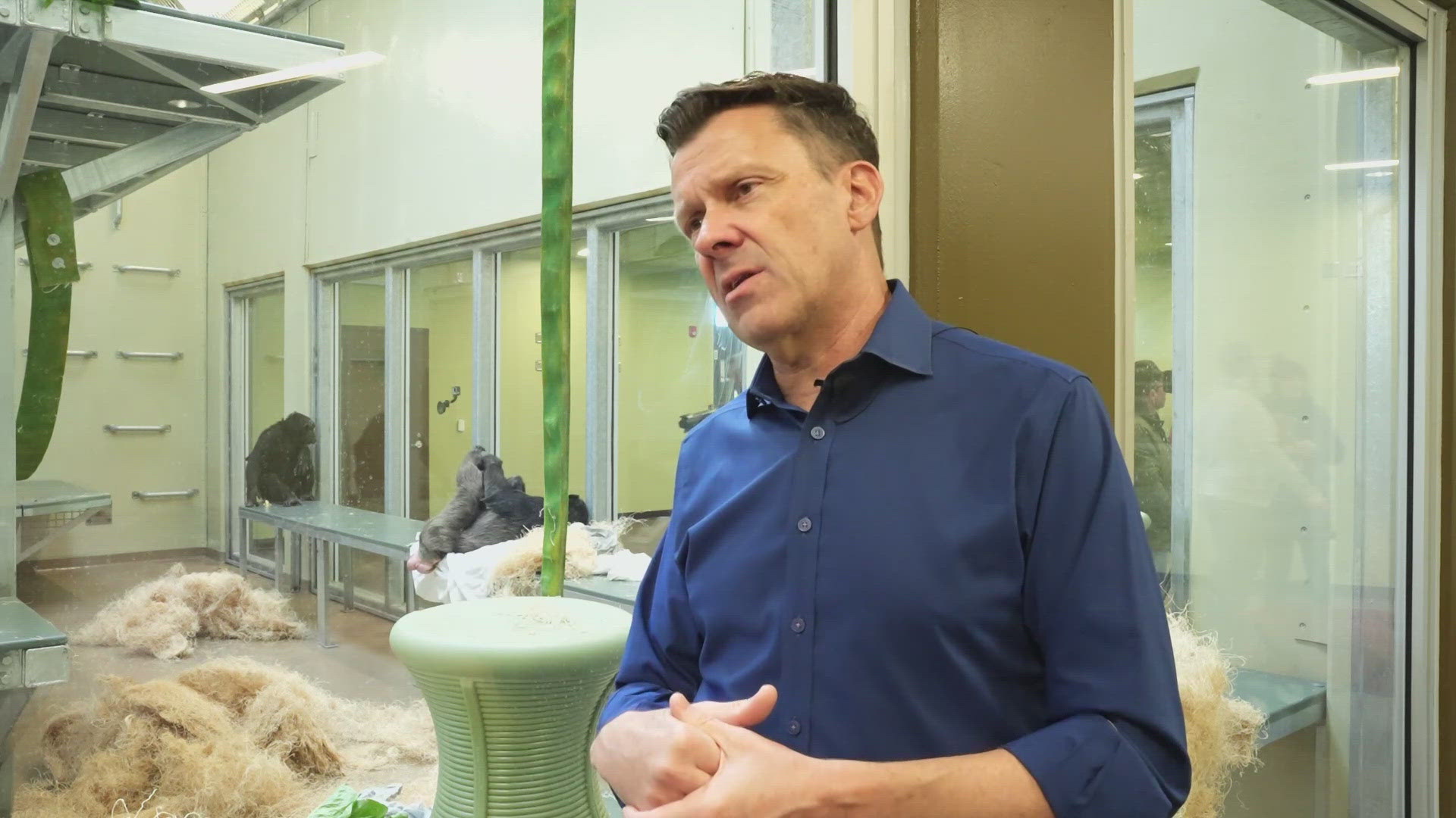 Indianapolis Zoo president bitten by chimpanzee during feeding | wthr.com