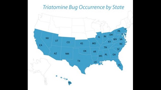 CDC warns of deadly 'kissing bugs' that can be found in Indiana | wthr.com