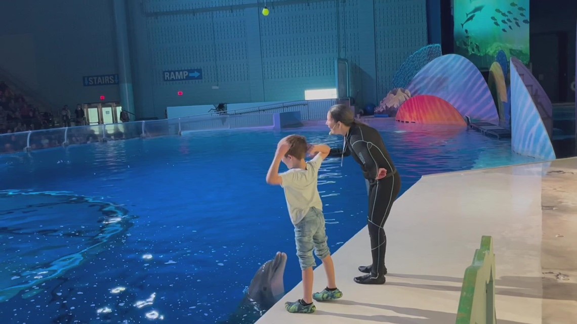 Navy father surprises 9-year-old son during dolphin show | wthr.com