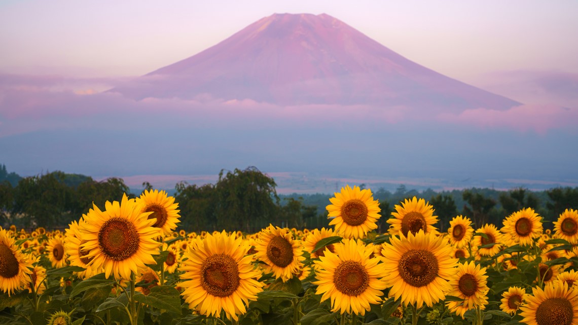 The many faces of Mt. Fuji: A photographer's passion | wthr.com