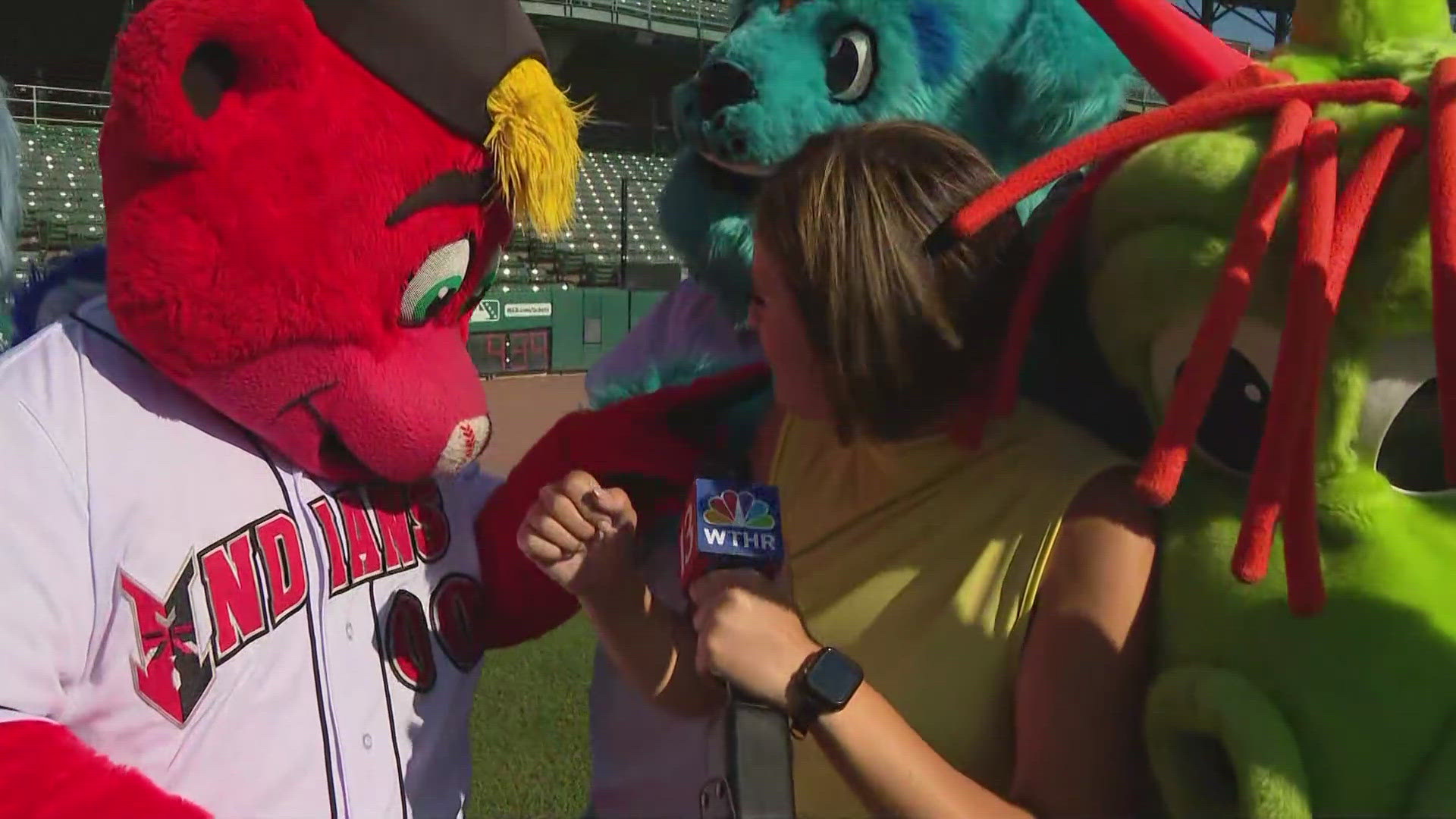 Indianapolis Indians' Rowdie, fellow mascots gear up for 'Mascot Mania' at Victory Field | wthr.com