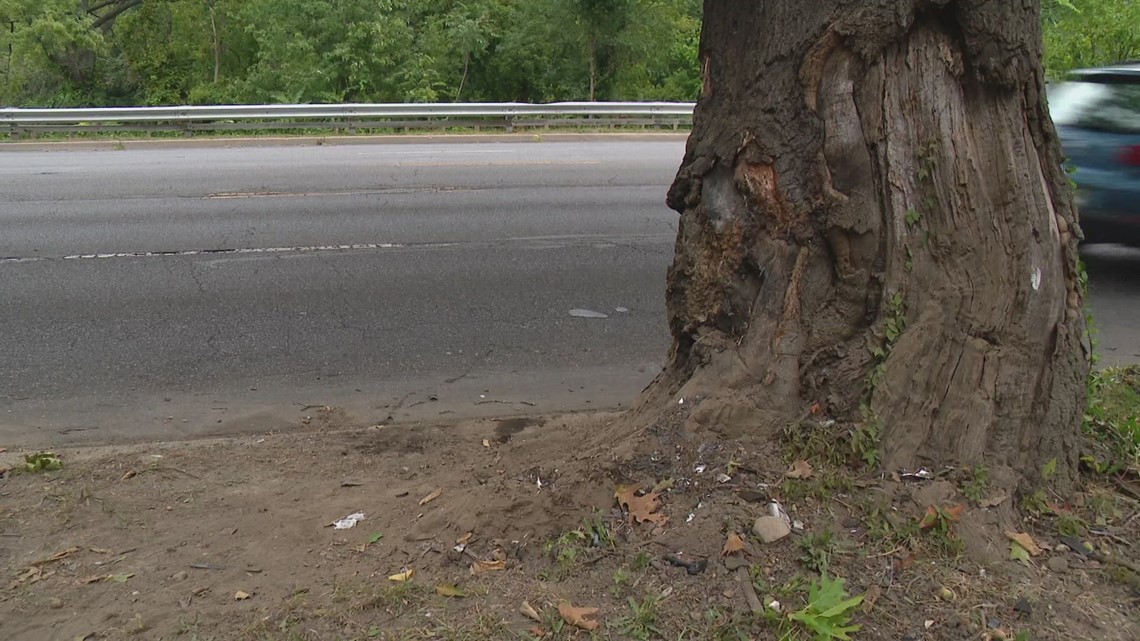 Driver dies after car hits tree near the state fairgrounds | wthr.com