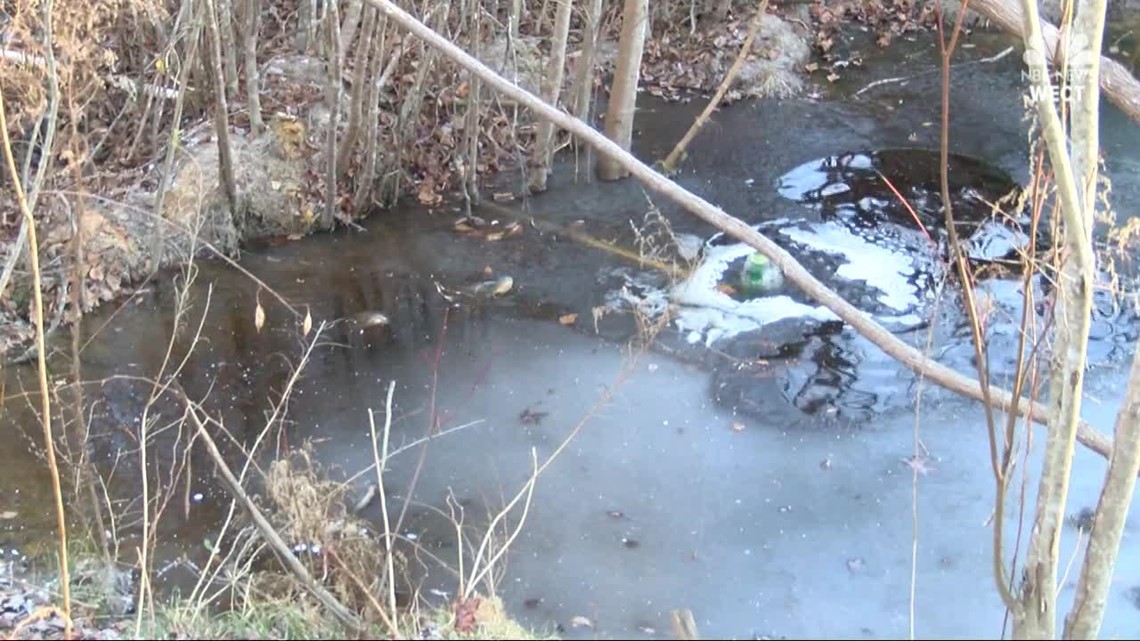 Survival mechanism gives alligators appearance of being frozen | wthr.com