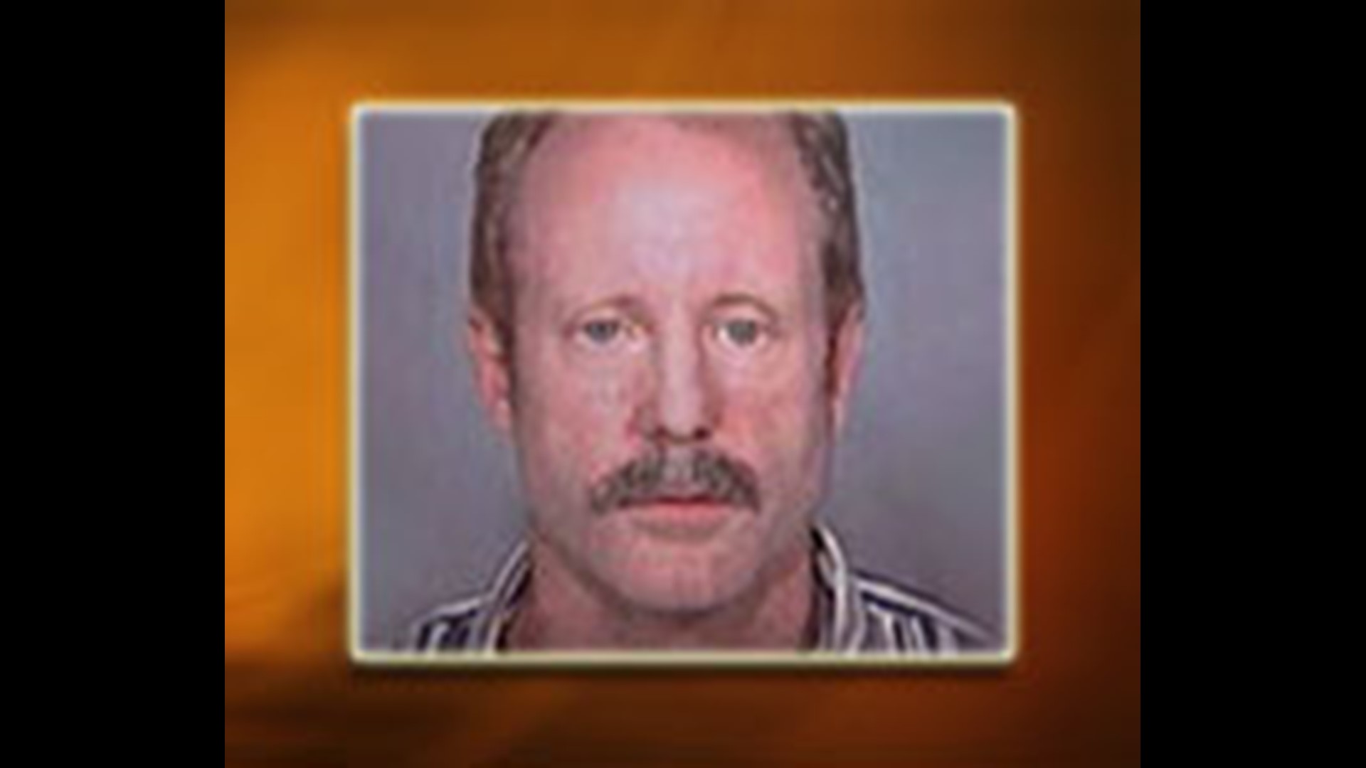 Horse drawn carriage accident sentencing postponed | wthr.com