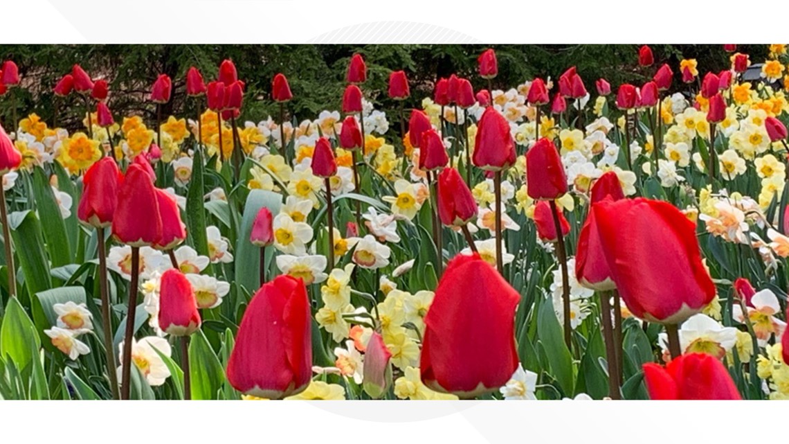 Newfields to reopen outdoor spaces later this month | wthr.com