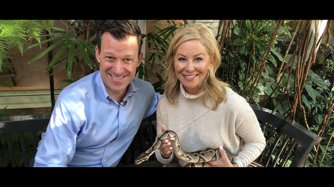 Julia tries to overcome her extreme fear of snakes: Can she do it ...