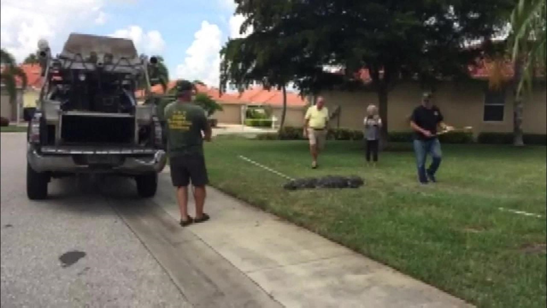 VIDEO: Officers wrangle 9-foot alligator in Florida garage | wthr.com