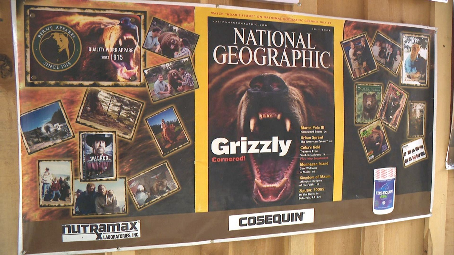 Indiana man's unusual career centers around 'grizzly' relationship ...