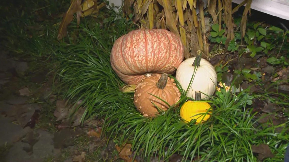 Harvest at Newfields returns with day and night activities to celebrate ...